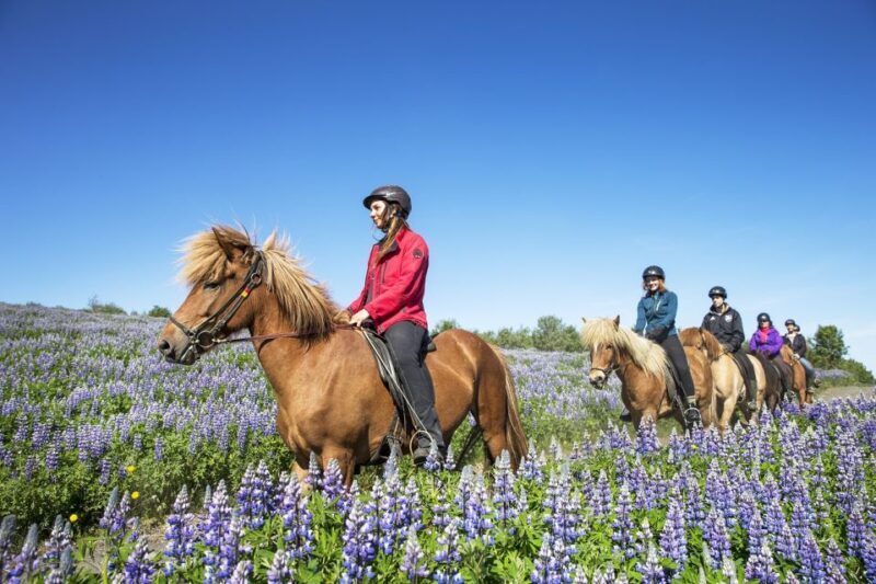 Hafnarfjörður: Horseback Riding Tour in Reykjavik Area - The Itinerary: What’s Included and How It’s Structured