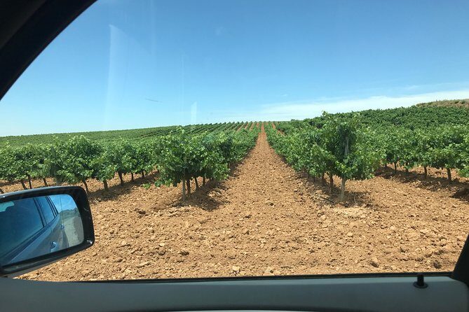 Haft-day Winery tour from Zaragoza - A Scenic and Historic Journey to Cariñena