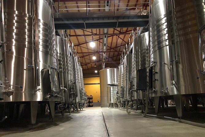 Haft-day Winery tour from Zaragoza - What to Expect at Wineries