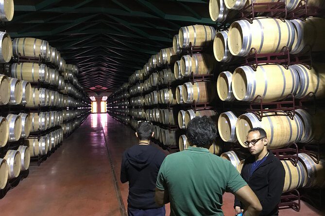 Haft-day Winery tour from Zaragoza - Practical Considerations