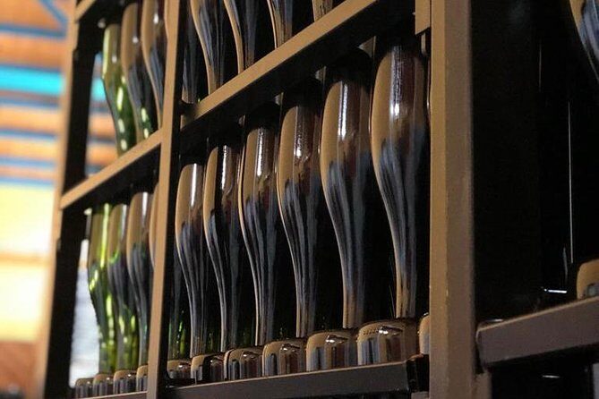 Haft-day Winery tour from Zaragoza - Final Words on the Zaragoza Wine Tour