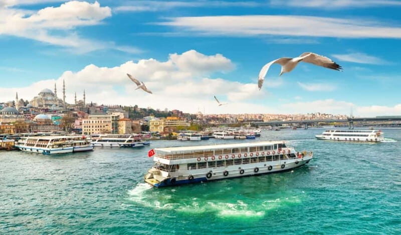 Hagia Sophia, Bosphorus cruise Blue Mosque, Small Group tour - Who Will Love This Tour?