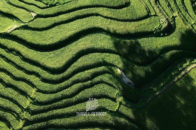Hagiang City tour 1/2 day to local villages, waterfall, ricefield - Final Thoughts