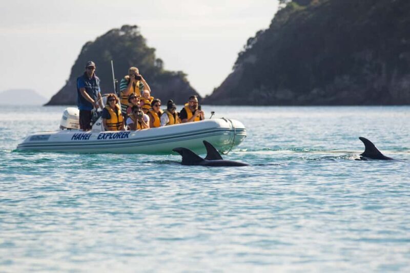 Hahei Explorer Cathedral Cove Boat Tour - Why This Tour Is a Great Choice