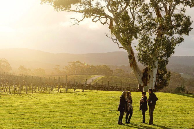 Hahndorf and Adelaide Hills Hop-On Hop-Off Winery Tour from City - An Overview of the Experience
