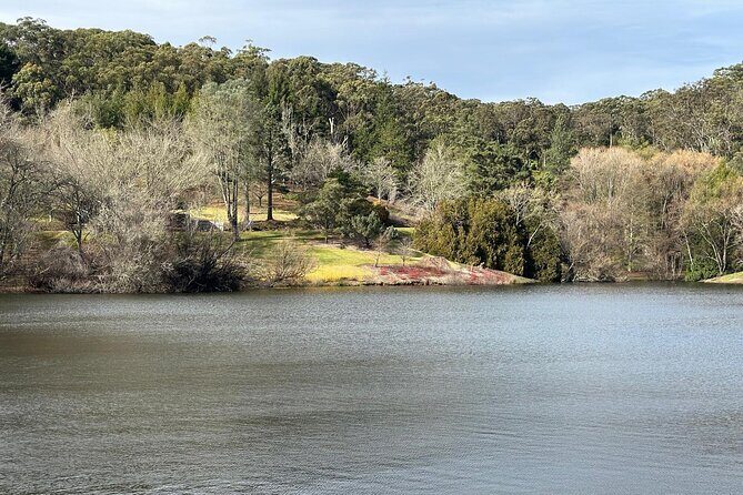 Hahndorf and Hills Wildlife Wonders - Practical Details and Value