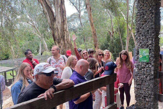 Hahndorf and Hills Wildlife Wonders - What Reviewers Love