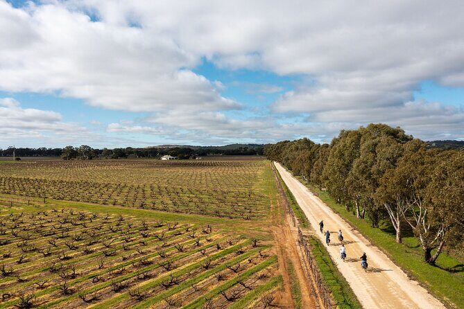 Hahndorf food and wine E-Bike Tour - Key Points