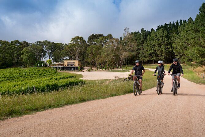 Hahndorf food and wine E-Bike Tour - Practical Considerations for Travelers