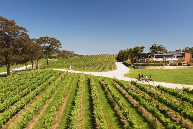 Hahndorf food and wine E-Bike Tour - Who Will Love This Tour?