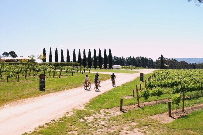 Hahndorf food and wine E-Bike Tour - The Sum Up
