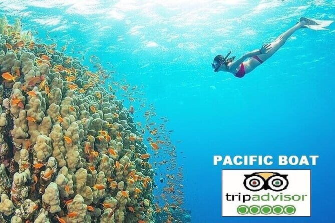 Hai Van Pass, Lang Co Bay & Lap An Lagoon PRIVATE TOUR - Practical Details & Value