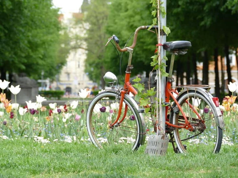Haidhausen: Insider Tour! Secrets in Munich's French Quarter - An Authentic Feel of Munichs Historic Heart