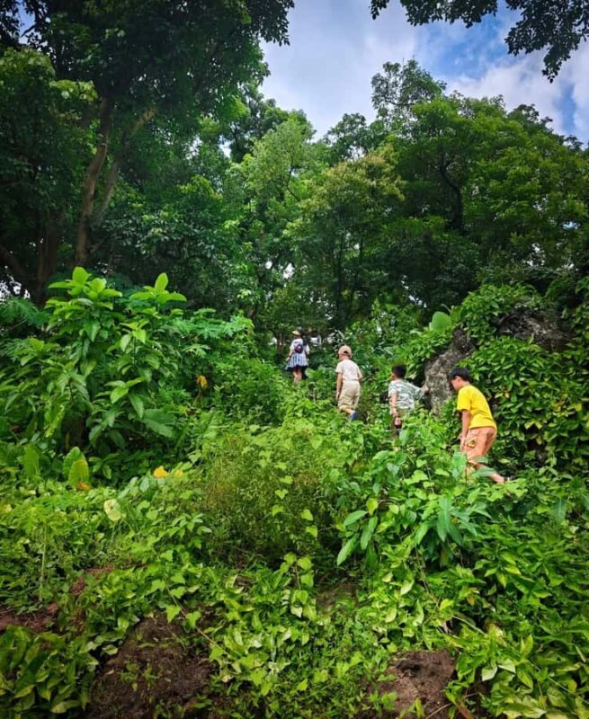 Haikou: 3H Leiqiong Volcanic Geo-Park Tour with Meal - Final Thoughts