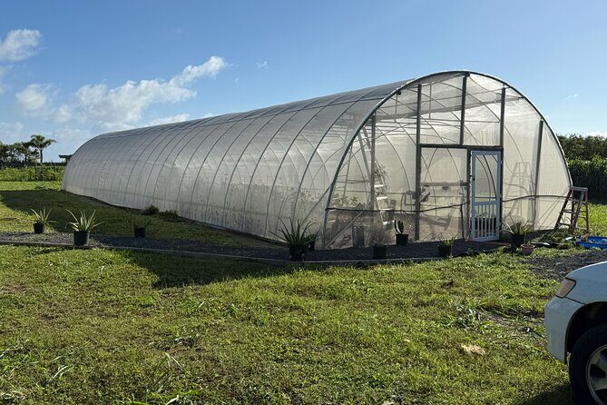 Haiku Butterfly Garden - 1st stop on the Road to Hana! - FAQ