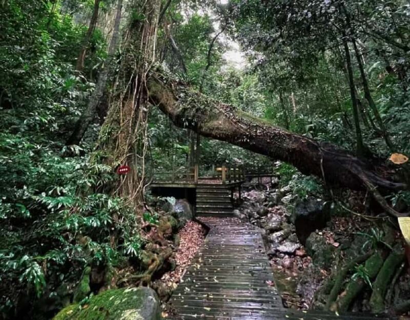 Hainan: A private day trip to Wuzhishan - An Overview of the Day Trip to Wuzhishan