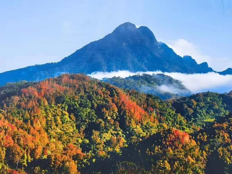 Hainan: A private day trip to Wuzhishan - Cultural Highlights at Lizu Temple and Li Ancestral Hall