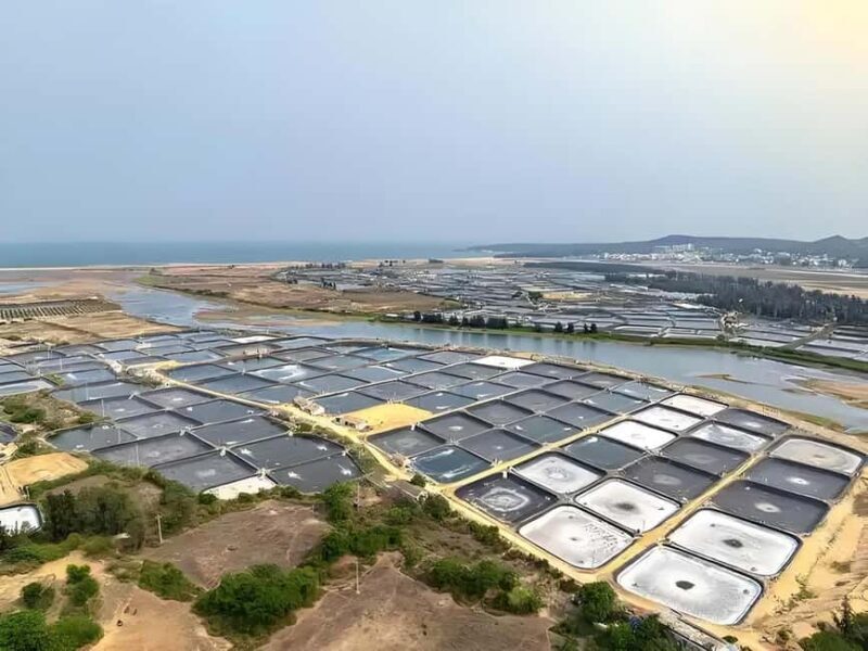 Hainan: Xiantian Village, Junling Temple, & Qizi Bay Tour - FAQs