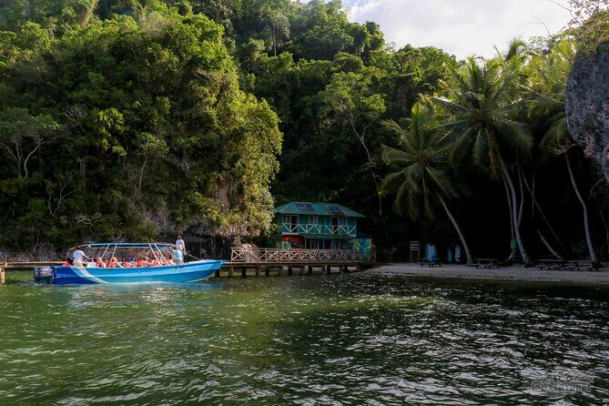 Haitises & Montaña Redonda, Nature's Beauty Tour - Introduction: An Adventure for Nature Lovers and Curious Travelers
