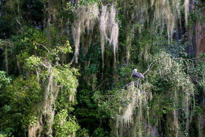 Haitises & Montaña Redonda, Nature's Beauty Tour - Who Is This Tour Best For?