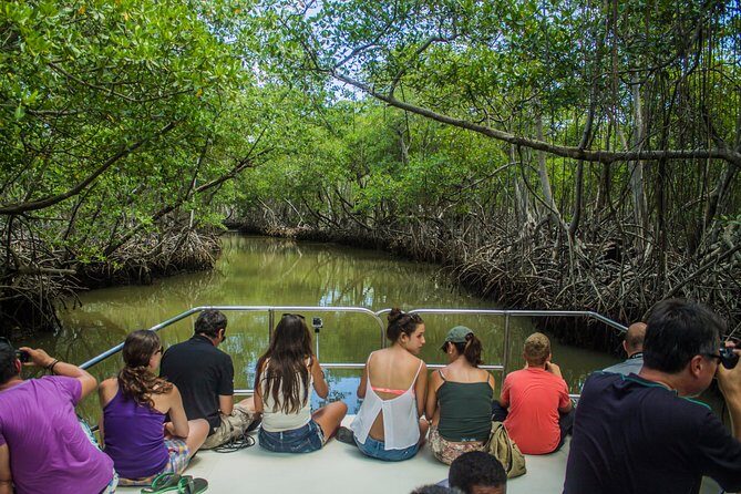 Haitises National Park with Paraiso Caño Hondo & Montaña Redonda - Authentic, Not Overly Commercialized