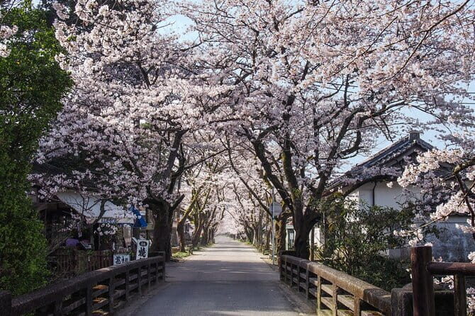Hakata Old Town Walking Tour Tracing the True History of Fukuoka - FAQ: Your Questions About the Hakata Old Town Walking Tour