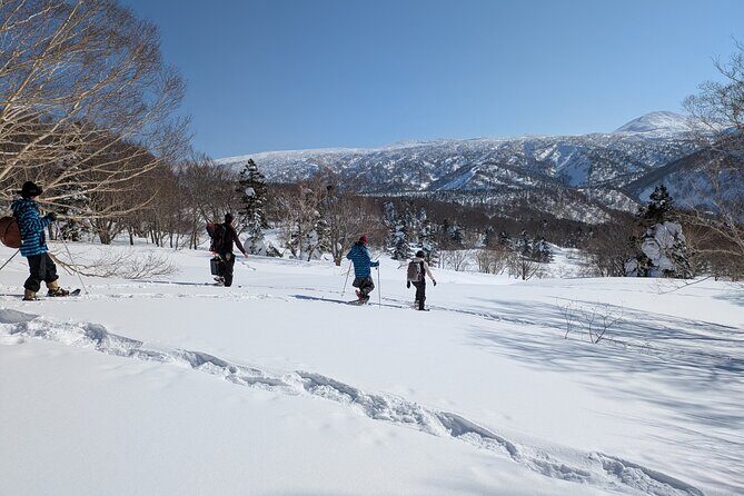 Hakkoda Area Snowshoe Adventure Tour - The Value of the Price Tag