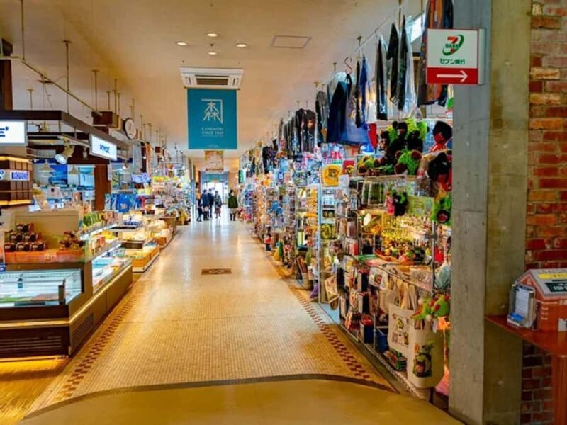 Hakodate: Full-Day Guided Walking Tour with Guide Experience - FAQs