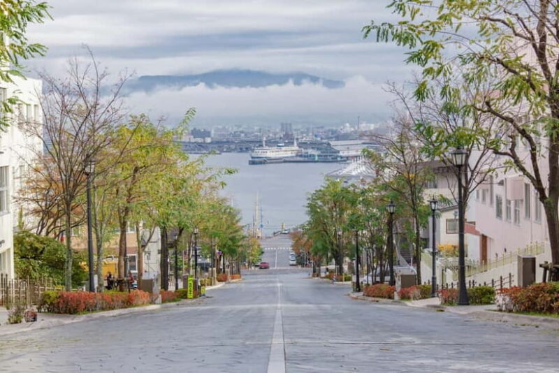 Hakodate Highlights Tour  4 Hours - Key Points