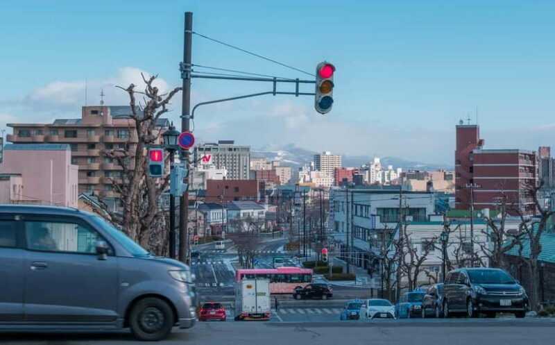 Hakodate Highlights Tour  4 Hours - Practical Considerations and Tips