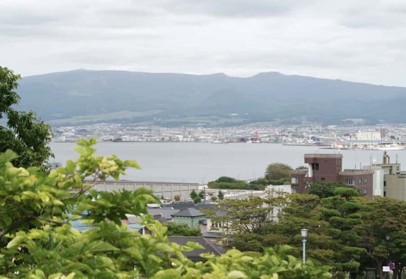 Hakodate/Hokkaido Private Tour with Local Guide - Key Points