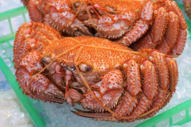 Hakodate: Morning Market Tour with Seafood Tasting Options - Sampling the Best of Hakodate’s Seafood