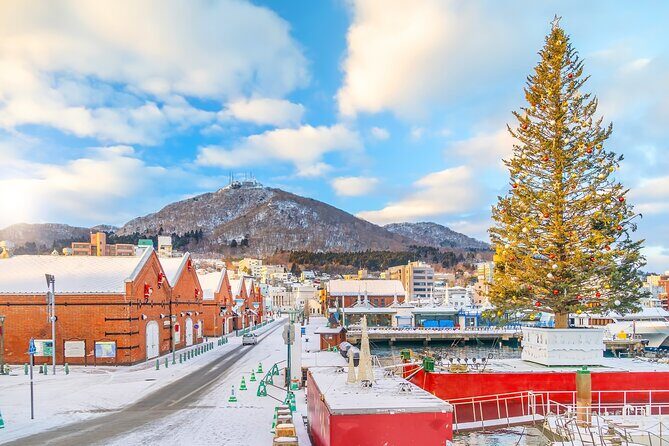 Hakodate Private Customizable Full Day Tour - Why a Private Custom Tour is a Great Choice in Hakodate