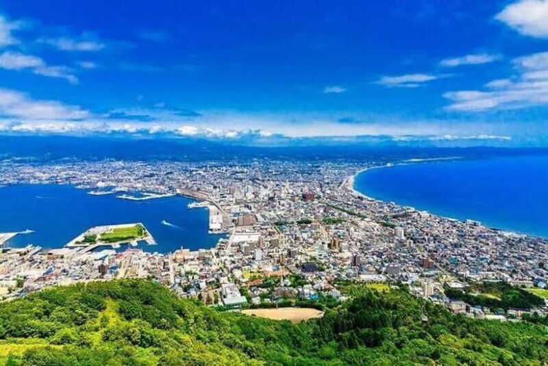 Hakodate Private Walking Tour with Government-Licensed Guide - Why Choose This Tour?