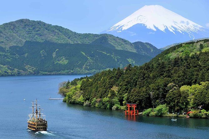 Hakone 6 hour Private Tour with Government-Licensed Guide - The Comfort of Customization and Expert Guidance