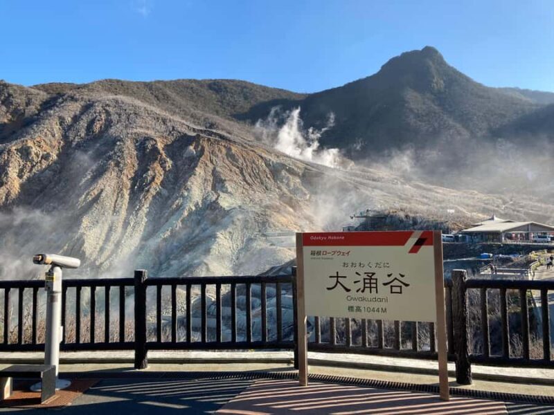 Hakone and Kamakura: 3-day Rail Pass - What Travelers Say