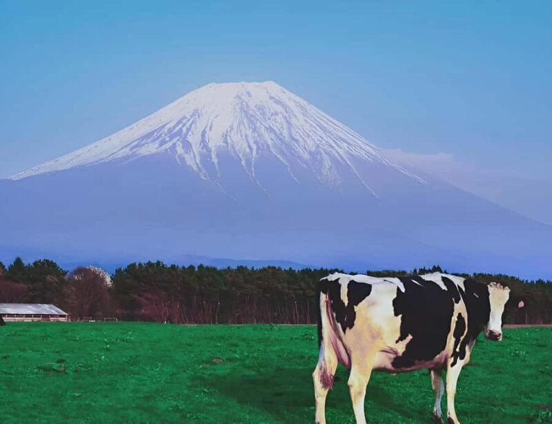 Hakone And Mount Fuji Private Tour With Hotel Pick Up - Key Points