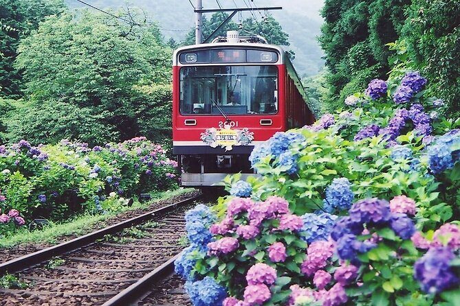 Hakone Day Tour to see Mt Fuji with Wooden Culture - The Sum Up