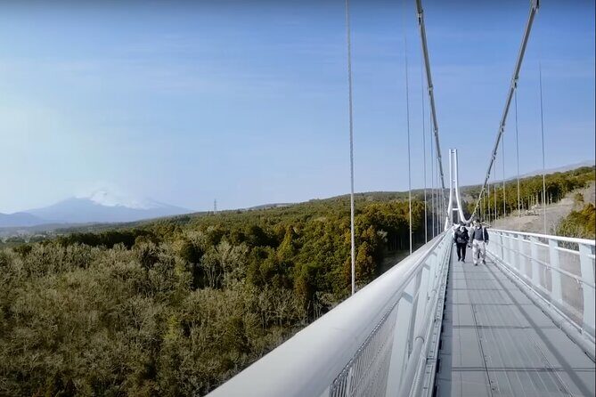 Hakone: Enchanting Fujisan - What Travelers Are Saying