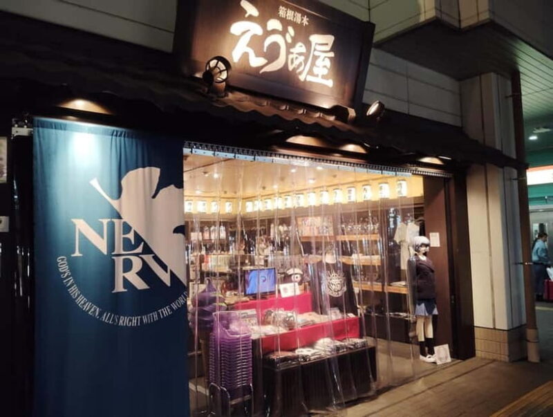 Hakone: Evangelion Anime Tour with Professional Guide - Key Points