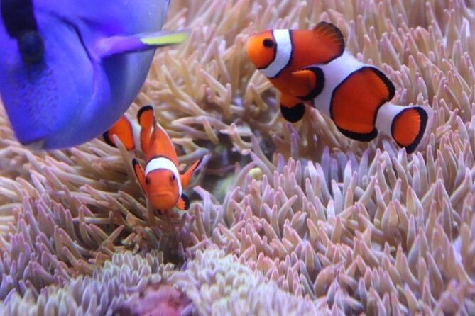 Hakone for Children to Enjoy! Japanese Crafts Experience From Tokyo - Who Will Love This Tour?