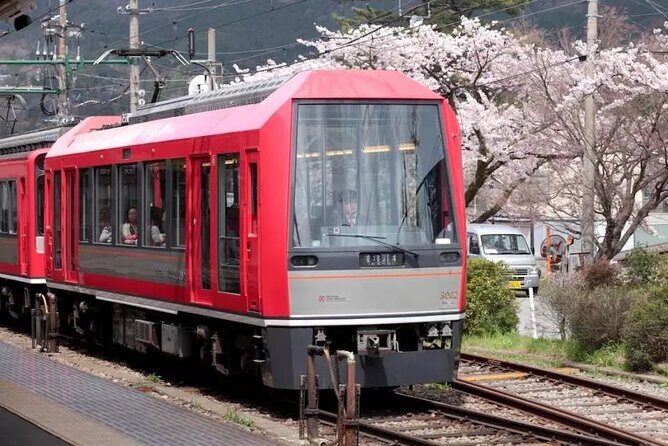 Hakone Free Pass, 2-3 Days Travel Voucher Japan - The Balance of Cost vs. Experience