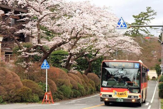 Hakone Free Pass, 2-3 Days Travel Voucher Japan - The Sum Up