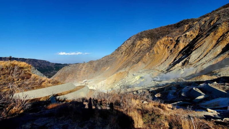 Hakone Full-Day Private Tour from Tokyo (Customizable) - Hakone Open-Air Museum: Art in Nature
