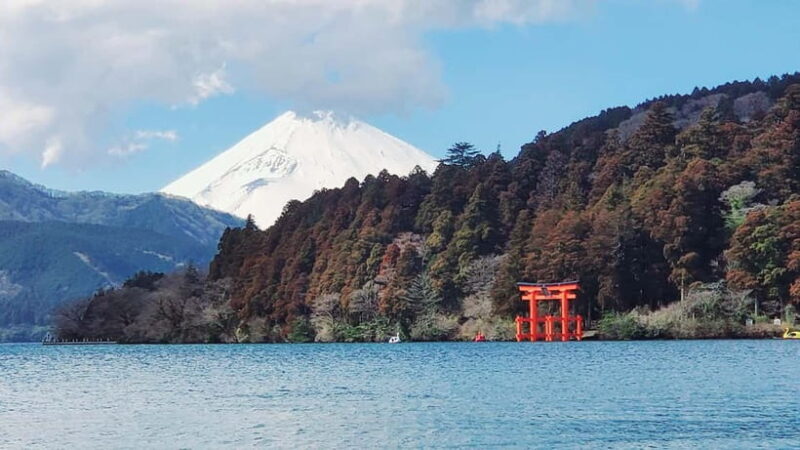 Hakone Full-Day Private Tour from Tokyo (Customizable) - Timing and Practicalities