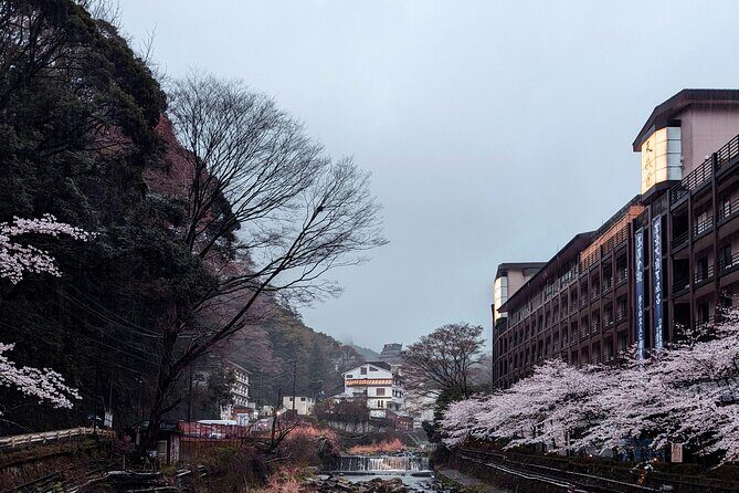 Hakone Full-Day Private Tour Hotel Pickup and Highlights - The Value of a Private, Guided Day