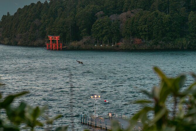 Hakone Full-Day Private Tour Hotel Pickup and Highlights - Who Should Consider This Tour?