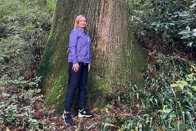 Hakone Full Day Tour with Guide and Vehicle - The Sum Up