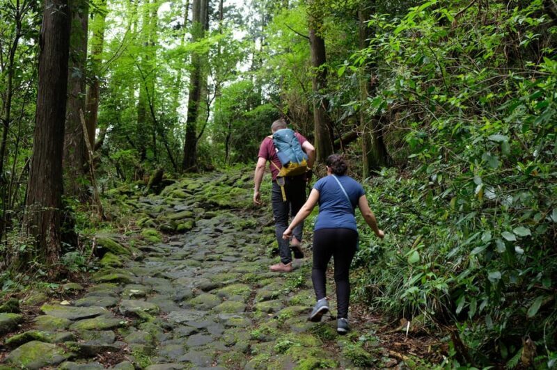 Hakone Hachiri: Old Tokaido Highway Hiking Half-day tour - Exploring Hakone Hachiri: The Old Tokaido Highway Hiking Tour
