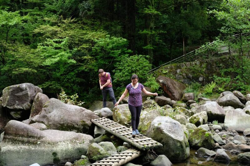 Hakone Hachiri: Old Tokaido Highway Hiking Half-day tour - The Experience at a Glance